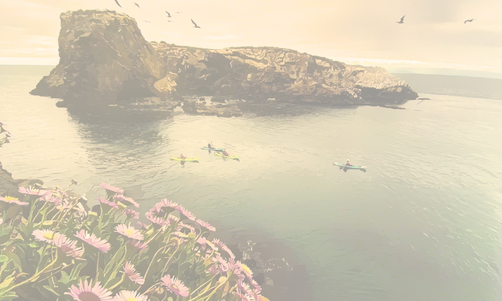 Carpinteria Community Library